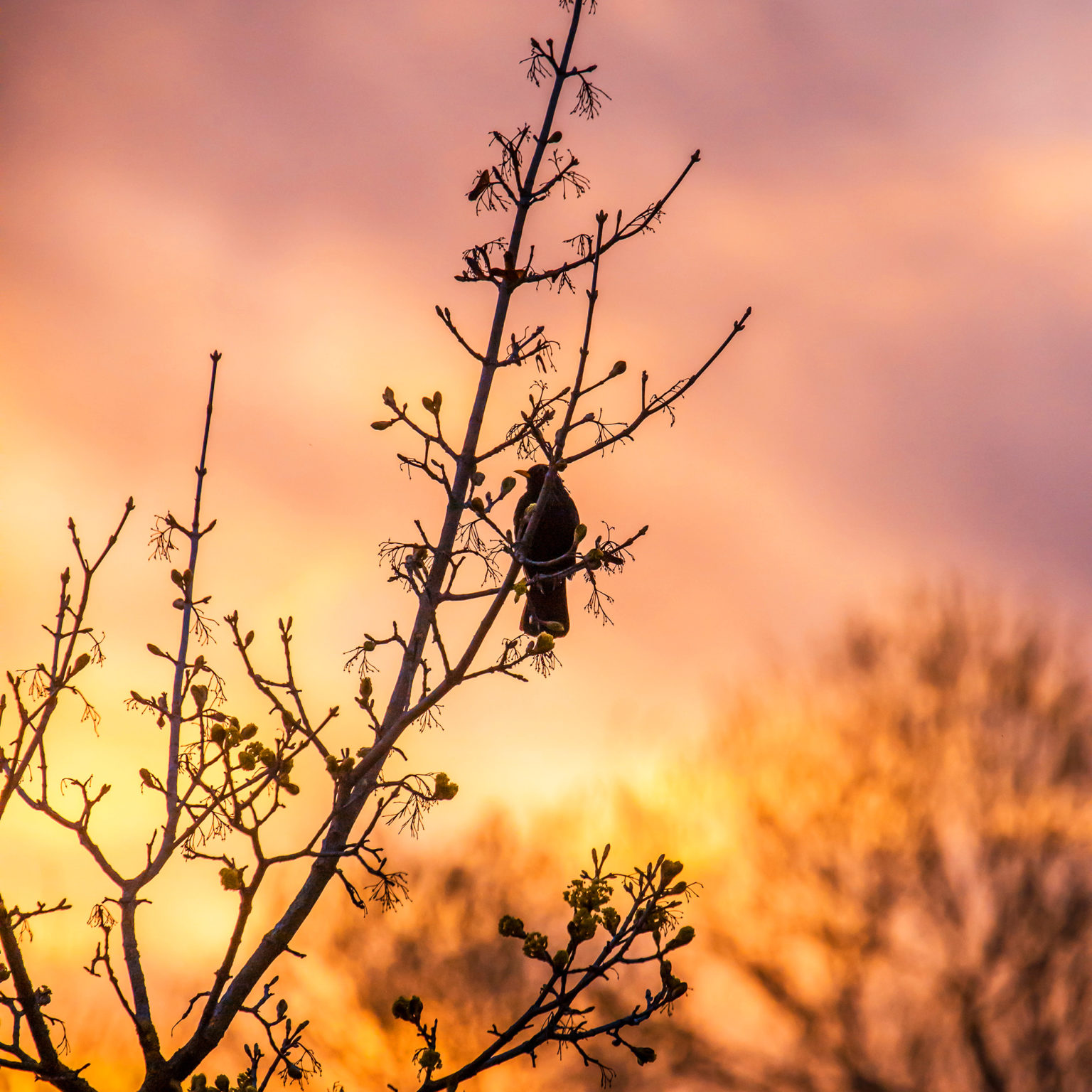 Polaris Insight Center - Ketamine Assisted Psychotherapy